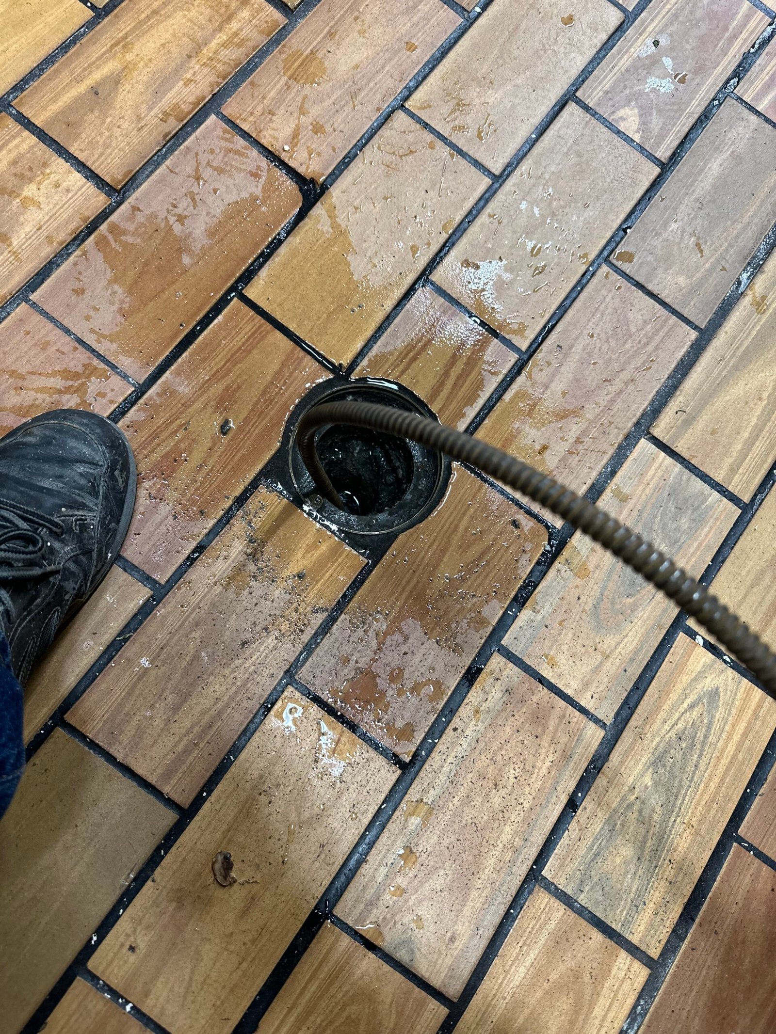 Floor Drain Services | ACME Sewer & Drain Cleaning